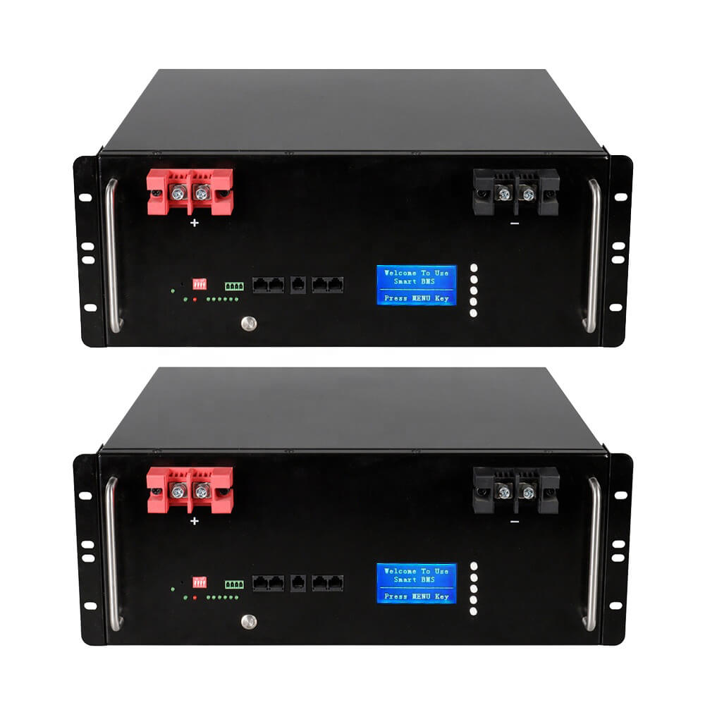 LifePO4 Battery 48V 100Ah lithium battery solar storage 48v ...